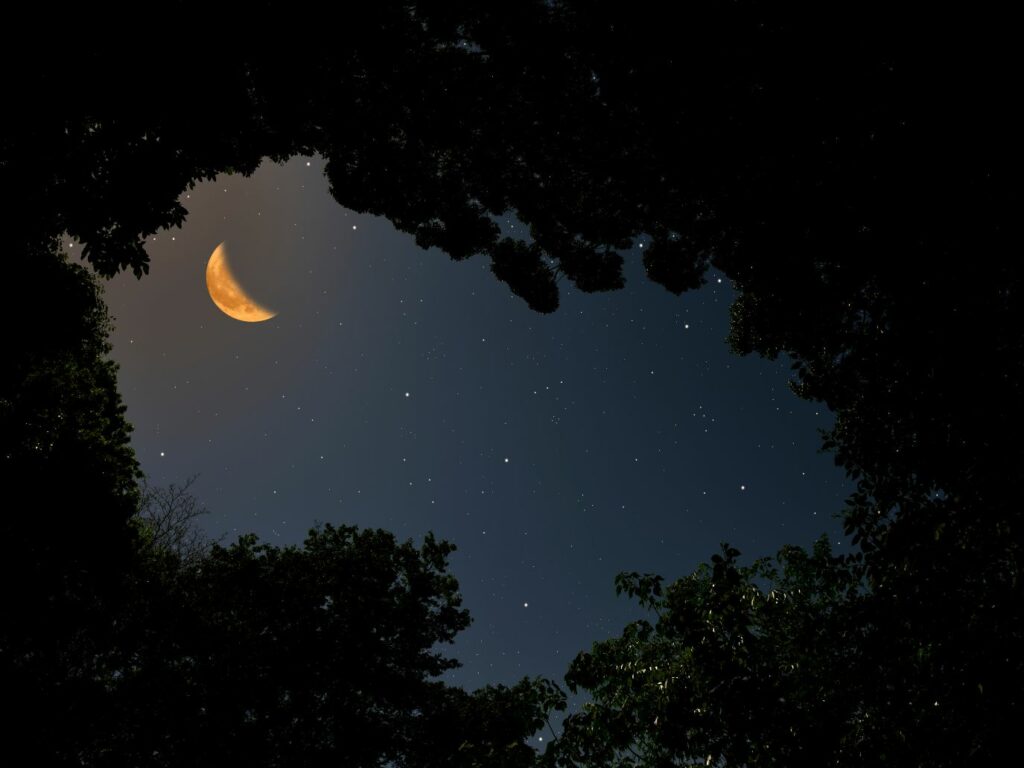 Kumpulan Foto Bulan Sabit Paling Bagus dan Terlengkap - Blog Pengajar Tekno