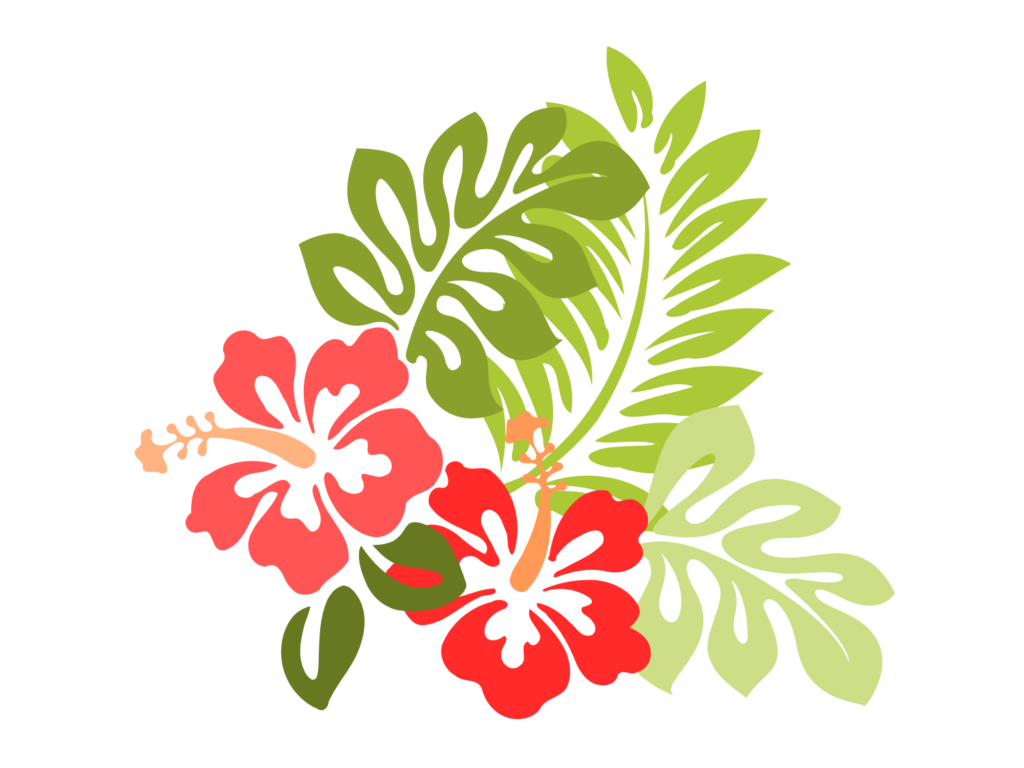 Kumpulan Gambar Bunga Sepatu Terbagus dan Terlengkap - Blog Pengajar Tekno