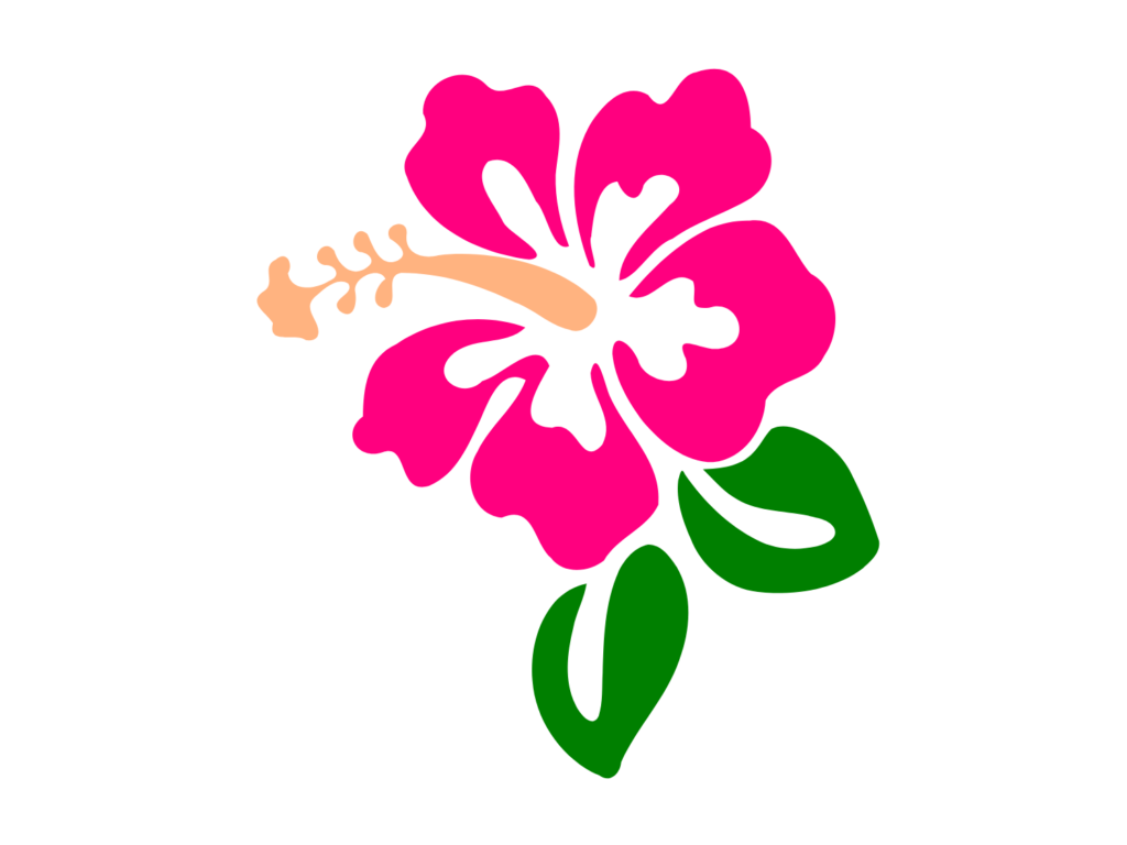 Kumpulan Gambar Bunga Sepatu Terbagus dan Terlengkap - Blog Pengajar Tekno