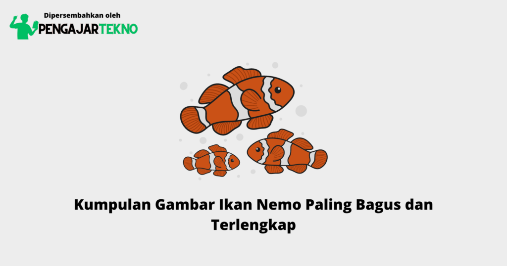 Kumpulan Gambar Ikan Nemo Paling Bagus dan Terlengkap - Blog Pengajar Tekno