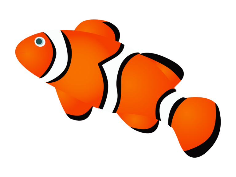 Kumpulan Gambar Ikan Nemo Paling Bagus dan Terlengkap - Blog Pengajar Tekno