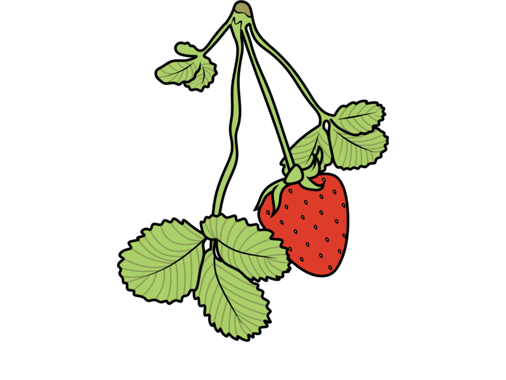 Kumpulan Gambar Strawberry Terbagus dan Terlengkap - Blog Pengajar Tekno