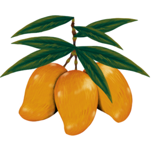 Kumpulan Gambar Mangga Kartun Terbagus dan Terlengkap - Blog Pengajar Tekno