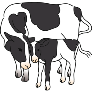 Kumpulan Gambar Sapi Kartun Paling Bagus dan Terlengkap - Blog Pengajar ...