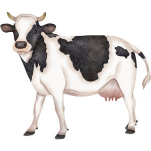 Kumpulan Gambar Sapi Kartun Paling Bagus dan Terlengkap - Blog Pengajar ...