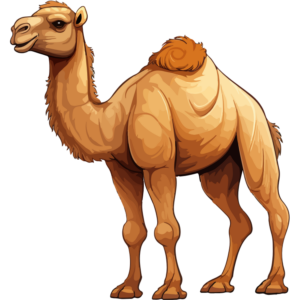 Kumpulan Gambar Unta Kartun Paling Bagus dan Terlengkap - Blog Pengajar ...