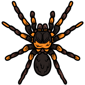 Kumpulan Gambar Laba-Laba Kartun Terbagus dan Terlengkap - Blog ...