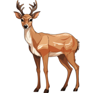 Kumpulan Gambar Rusa Kartun Paling Bagus dan Terlengkap - Blog Pengajar ...